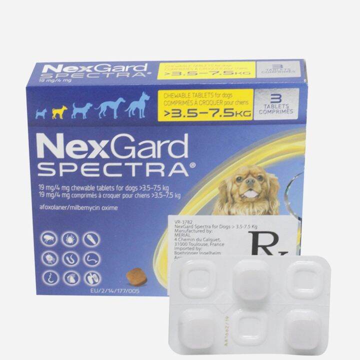 NEXGARD SPECTRA FOR DOGS 3.5 TO 7.5 (1 TABLET ONLY) | Lazada PH