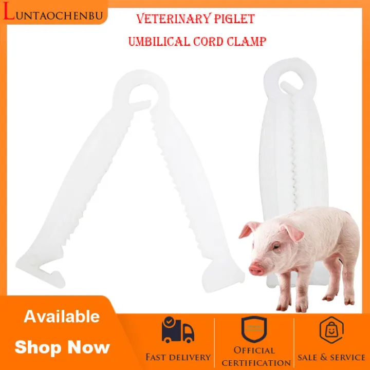 Veterinary piglet umbilical cord clamp Umbilical cord hemostatic clip ...