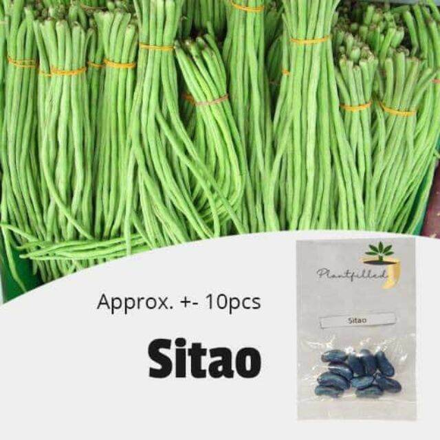[Plantfilled] Sitao / Sitaw Seeds | Vegetables - 10 seeds | Lazada PH