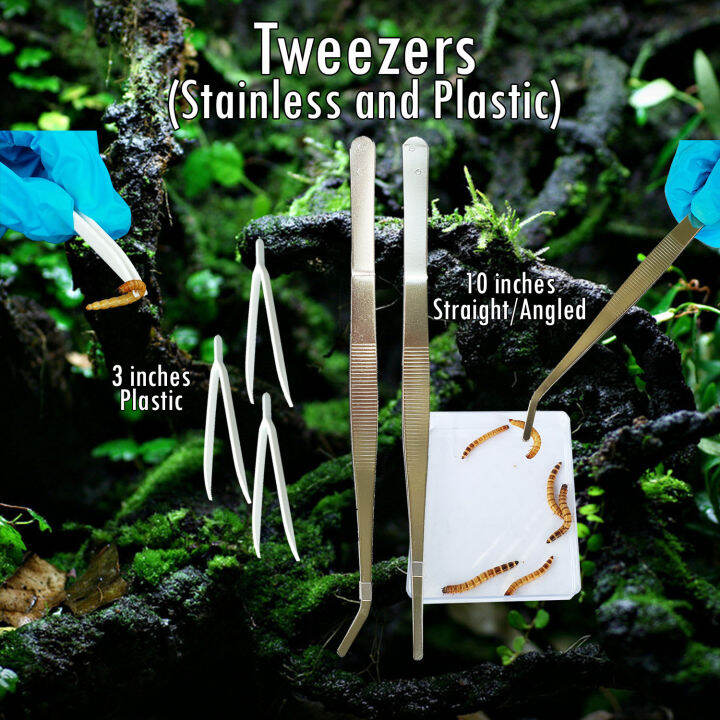 TWEEZERS Stainless / Plastic Feeding Tongs Forceps 10in 3in Angled ...