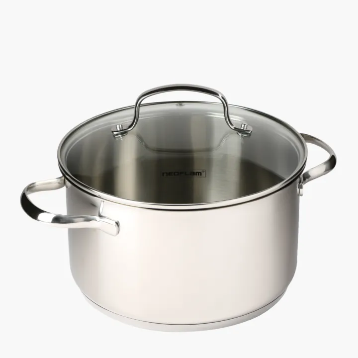 Neoflam Stainless Steel Cookware Stock Pot 22cm. | Lazada PH