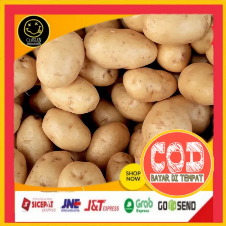 Kentang Dieng Besar Dan Kentang Kecil 1Kg Sayuran Segar Sayuran Fresh ...
