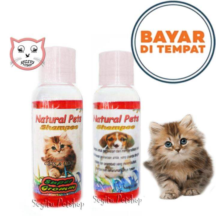 Shampo Kutu Jamur Kucing Sampo Anjing Anti Tick & Flea Wangi Mini Merah ...