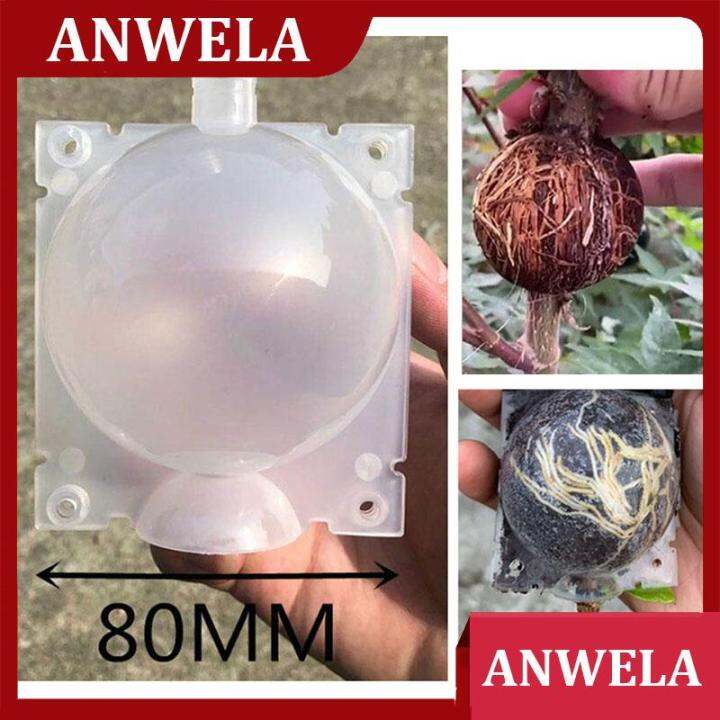 ANWELA 8cm Garden Fruit Tree Plant Rooting Ball Root Growing Boxes Case ...
