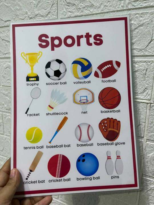 Educational learning materials for kids Laminated A4 Size Chart SPORTS ...