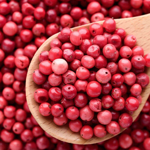 Pink Peppercorn 20g | Herbs & Spices | Lazada PH