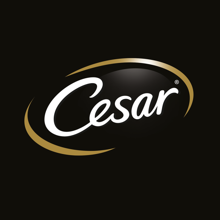 CESAR Wet Dog Food Beef & Liver Flavor - Dog Food for Adult Dogs - (3 ...