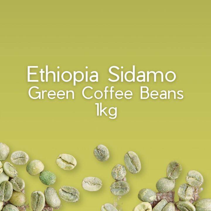 Ethiopia Sidamo Green Beans (1kg) | Lazada PH
