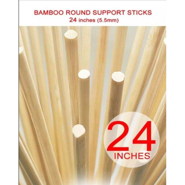 50 pcs. bamboo plant sticks/plant support sticks | Lazada PH