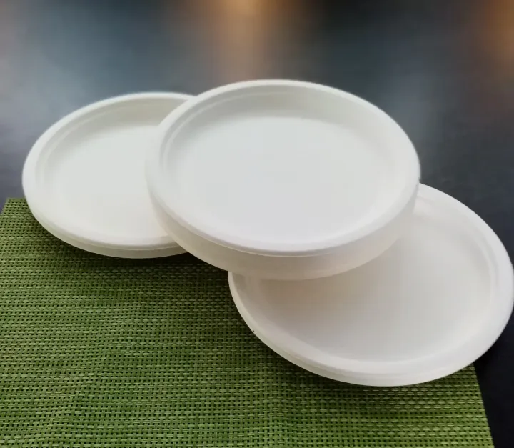 Paper Plate Disposable 10 inches (50pcs./pack) | Lazada PH