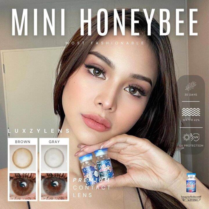 คอนแทคเลนส์🌈Mini Honey Bee🌈 Brown/Gray (Luxzylens) ขนาดมินิ💖ขายดี🍭 | Lazada.co.th