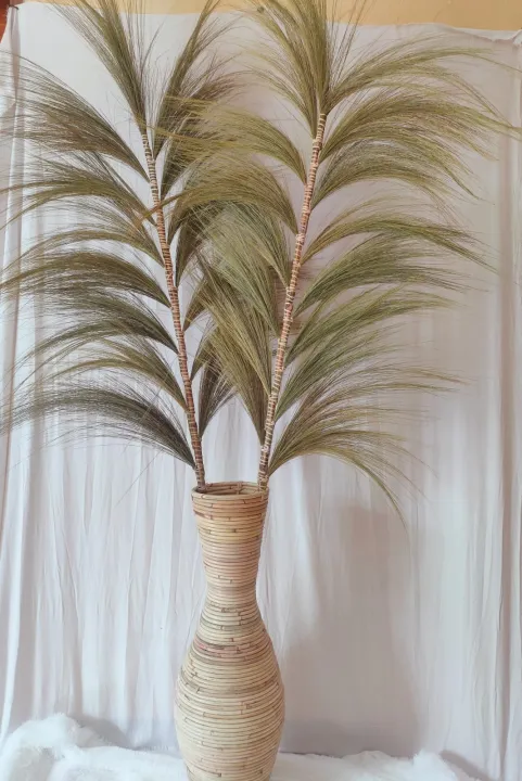 Bunga Kering Rayung / Rayung / Pampas / Dried Flowers / Rustic flower ...