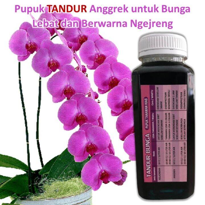 PUPUK TANDUR ANGGREK 250cc / Pupuk anggrek cepat berbunga / vitamin ... PUPUK TANDUR ANGGREK 250cc / Pupuk anggrek cepat berbunga / vitamin ...
