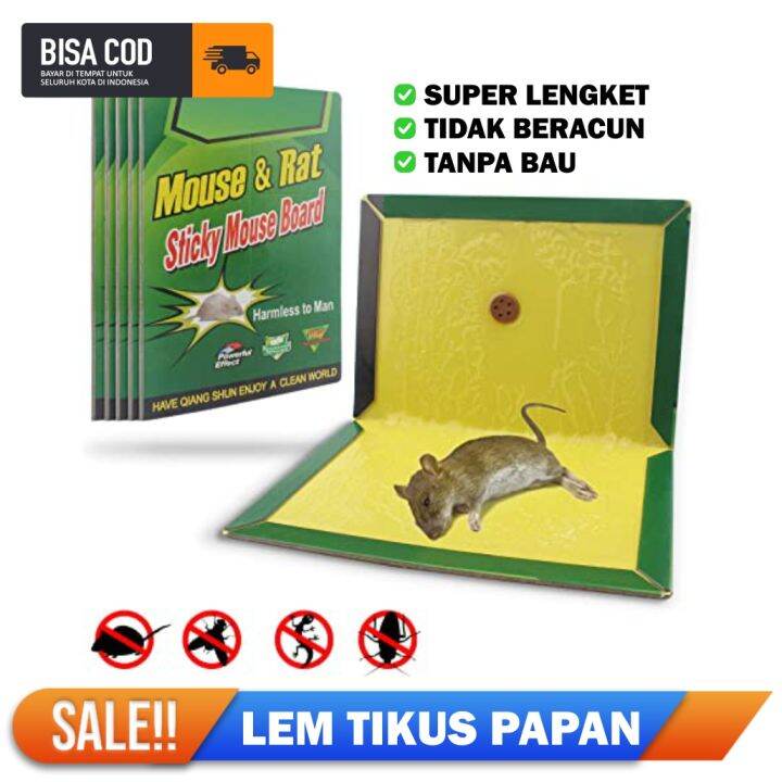 Lem Tikus Super Lengket - Lem Tikus Ultra Super - Lem Tikus Murah - Lem ...