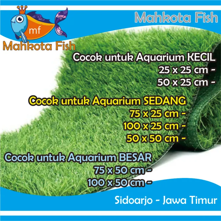 Rumput Aquarium Sintesis (Cocok Untuk AQUARIUM BESAR) | Mainan Rumput ...