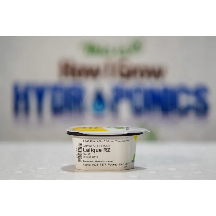 Lalique RZ Rijk Zwaan Seeds (1000 seeds) - Crystal Lettuce | Katanim ...