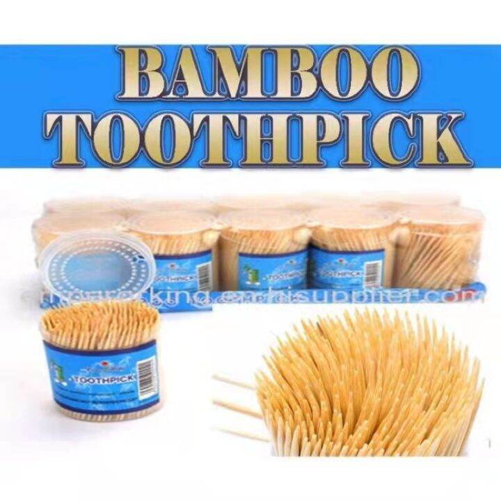 Bamboo Toothpick (100pcs per tube) | Lazada PH