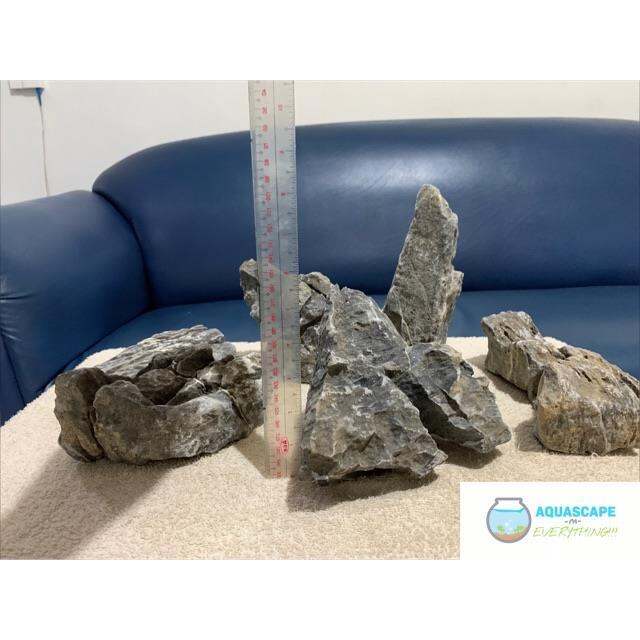 【2023】 Seiryu Stones for Hardscape Aquarium Aquascape | Lazada PH