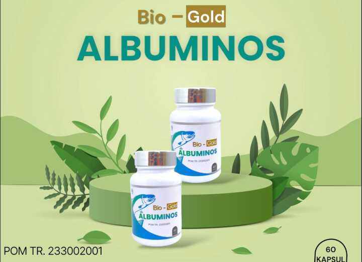 Kapsul Minyak Albumin Albuminos 60 Kapsul | Lazada Indonesia