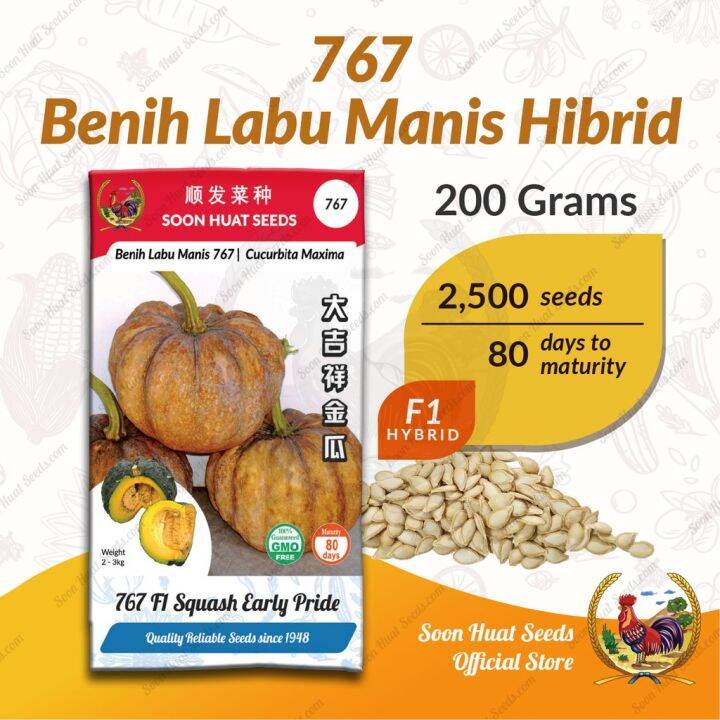 Soon Huat Benih Labu Manis 50 seeds (not plants) Squash Seeds Early ...
