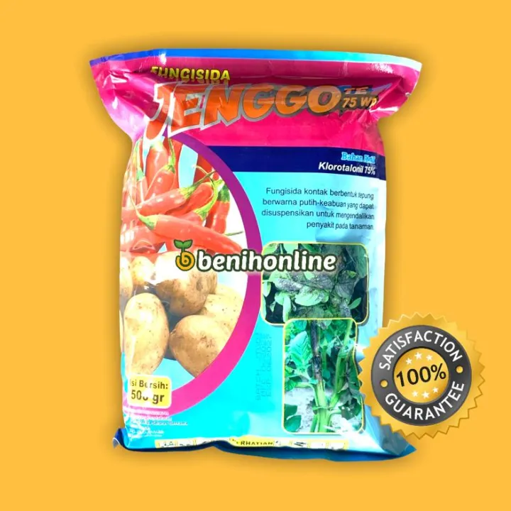 FUNGISIDA – JENGGO – 500 GRAM - KLOROTALONIL 75% | Lazada Indonesia