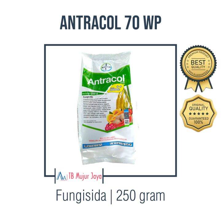 ANTRACOL 70 WP Fungisida 250 gram | Lazada Indonesia
