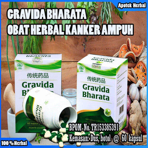 GRAVIDA BHARATA HERBAL - SPESIALIS OBAT PARU PARU BASAH- KANKER-TUMOR- GANGGUAN JANTUNG-STROKE ...