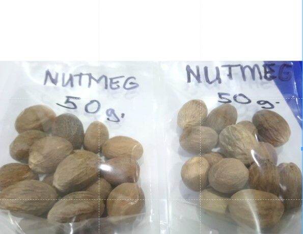 Organic Nutmeg WHOLE100g | Lazada PH