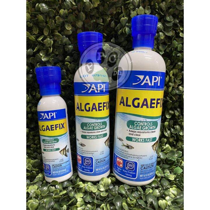 Api Algaefix Algae Control | Lazada PH