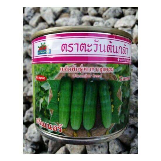 Timun Mini @ Tikus @ Baby Thailand 50gm | Lazada