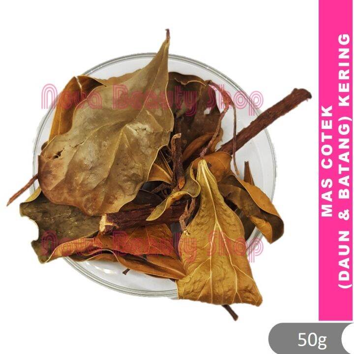 Mas Cotek (Daun + Batang) Asli Original 50g (Ficus Deltoidea) Sempit ...