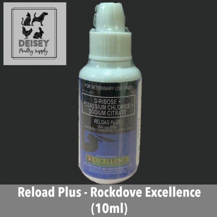 Reload Plus - Rockdove Excellence (10ml) | Lazada PH