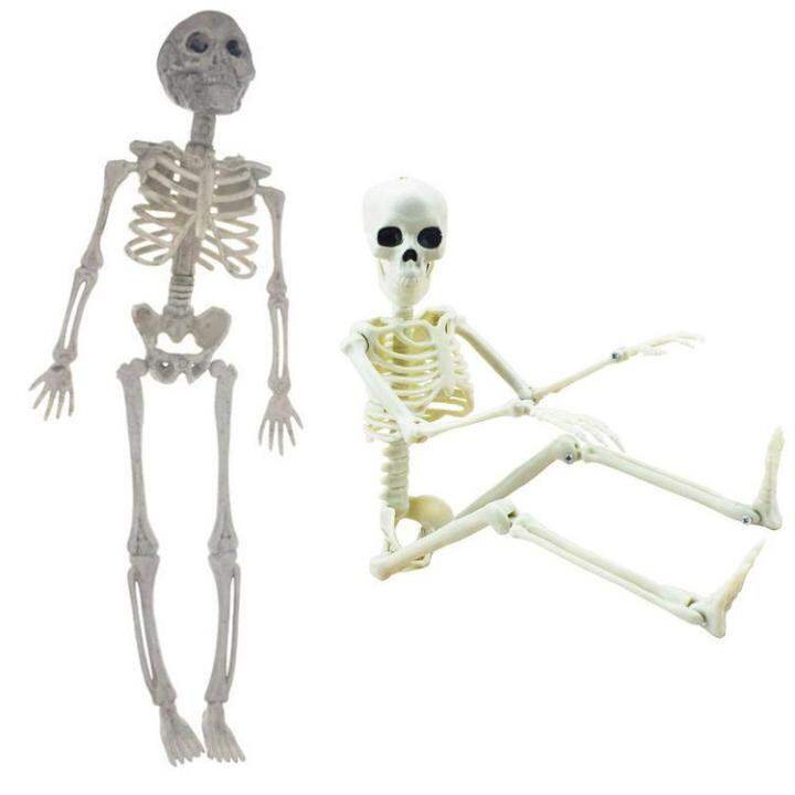 Skeleton Action Figure Indoor Posable Skeleton Full Body with Movable ...