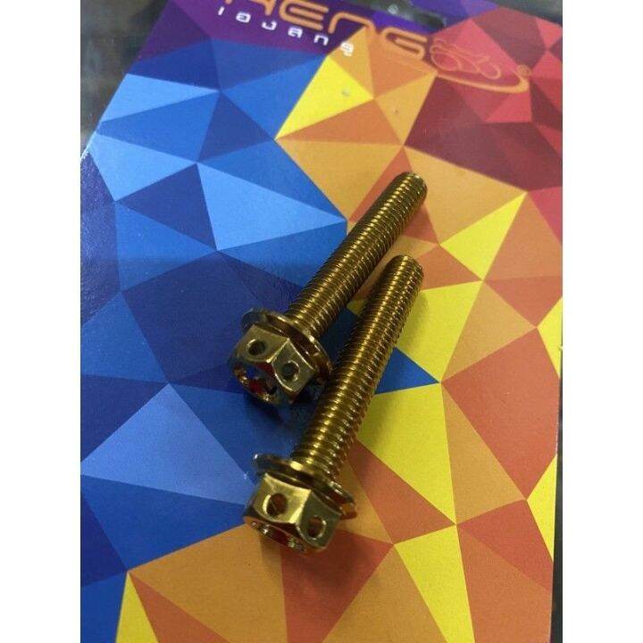 HENG 8X45 FLOWER TYPE GOLD BOLTS PIPE BOLT (per piece) | Lazada PH
