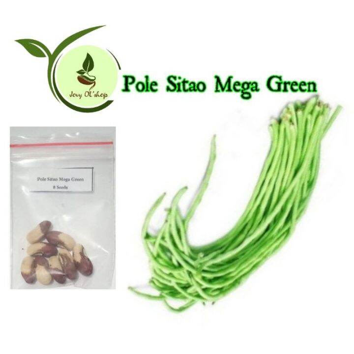 Pole Sitao / String Beans / Sitaw | Lazada PH