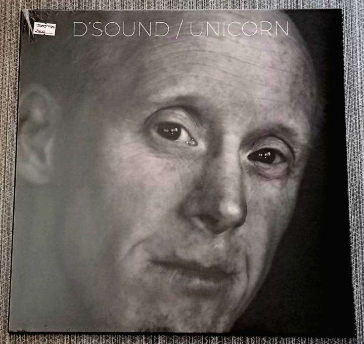 D'Sound – Unicorn | Vinyl LP The Grey Market Records | Lazada PH