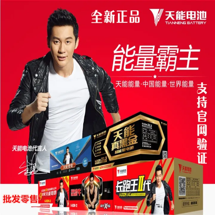 Tianneng Chaowei Single 12V/48v/12AH/20A Electric Vehicle Battery ...