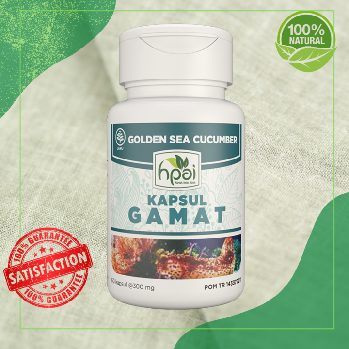 (PROMO) GAMAT KAPSUL HNI HPAI | Ekstrak Teripang Emas | Herbal Untuk ...