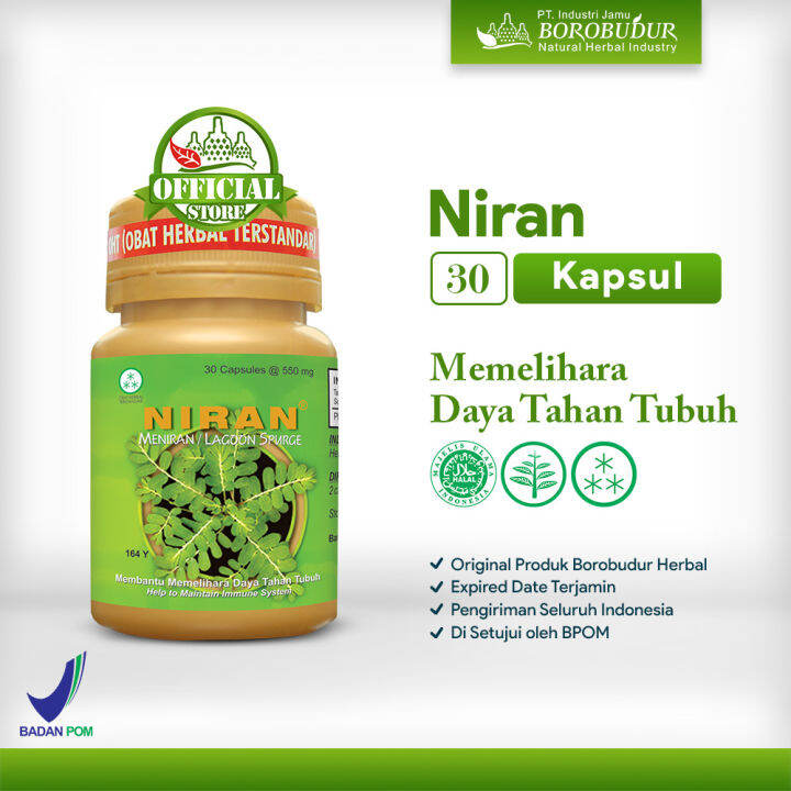 Borobudur Herbal Niran 30 Kapsul - Meningkatkan Daya Tahan Tubuh (Imunitas) | Lazada Indonesia