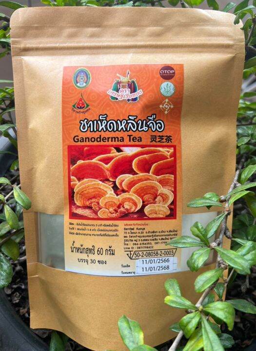 เศรษฐีเรือทอง ชาเห็ดหลินจือ (Ganoderma Tea) บำรุงร่างกาย ลดน้ำตาลใน ...