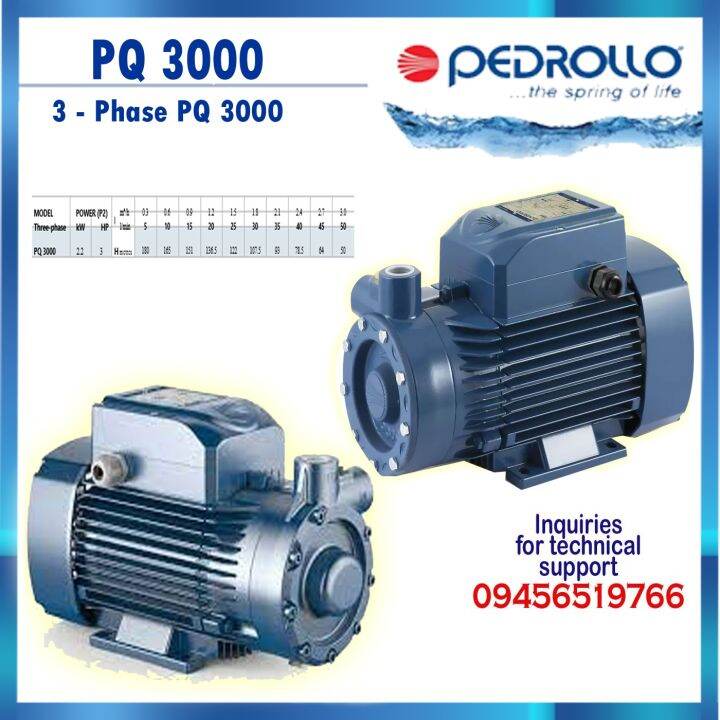 Pedrollo - PQ 3000 Peripheral Pumps with High Head | Lazada PH