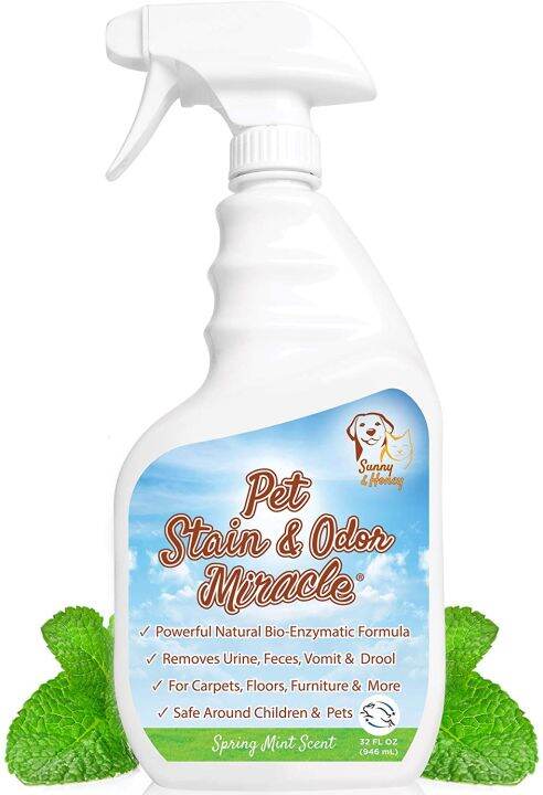 Pet Stain & Odor Miracle - Enzyme Cleaner for Dog and Cat Urine, Feces ...