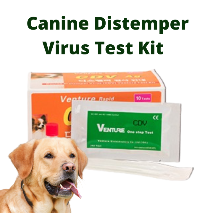 [FTW] Canine Parvo Test Kit | Home Health Detection For Parvo | CDV ...