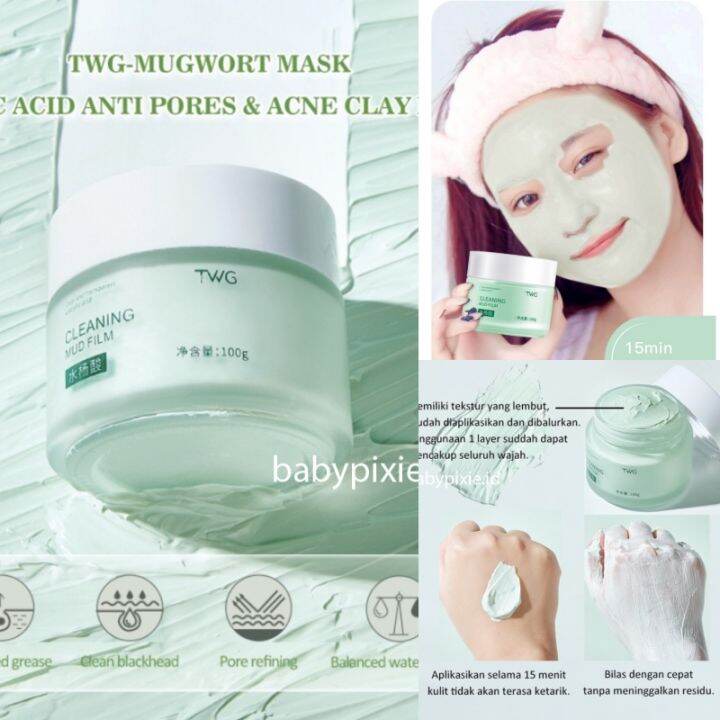 TWG Mugwort Mask Salicylic Acid Anti Pores & Acne Clay Mask 100g XX069 ...