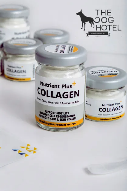 คอลลาเจนสำหรับหมาแมว NUTRIENT PLUS COLLAGEN FOR PETS | Lazada.co.th