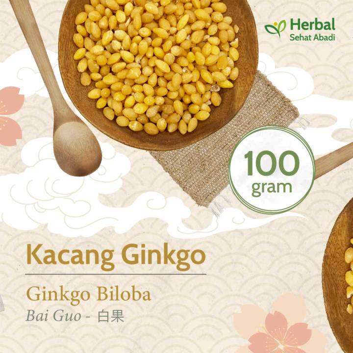 Ginkgo Nut Mentah 100 gram / Bai Guo (白果) / Ginkgo Biloba / Ginko ...