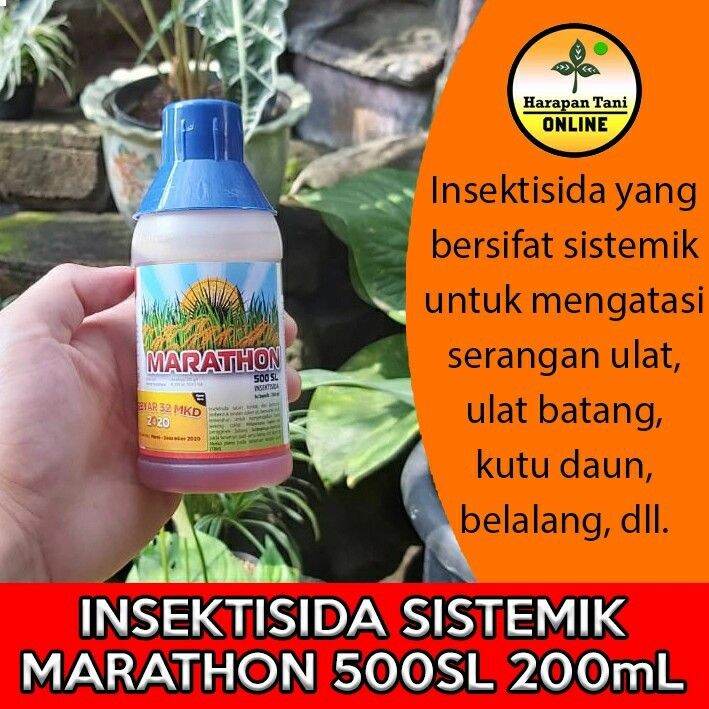 Marathon 500SL 200mL | Insektisida Sistemik | Ulat, Wereng | Lazada ...