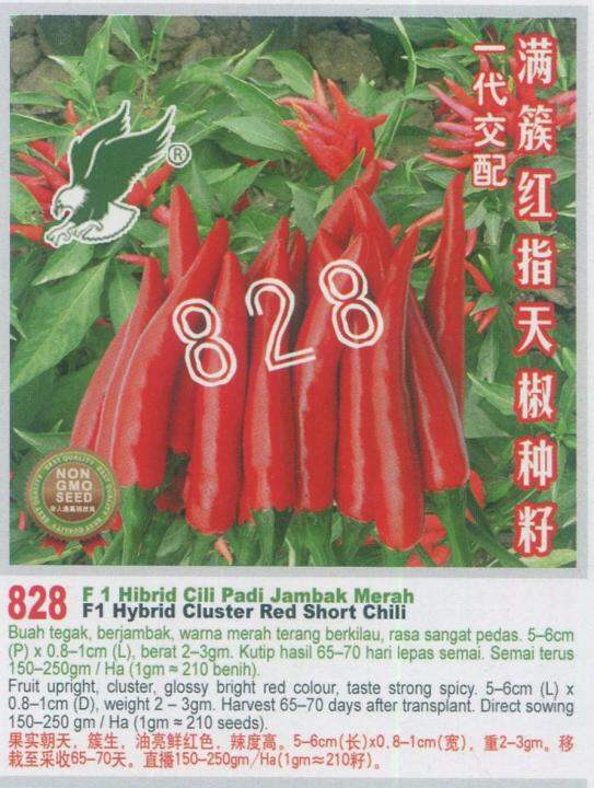 F1 Hybrid Cluster Red Short Chili/ Cili Padi Jambak Merah (+/- 30 Seeds ...