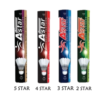 (SC1133 / SC1130/SC1131/SC1132) ASTAR SHUTTLECOCK , grade: 2 star / 5 ...