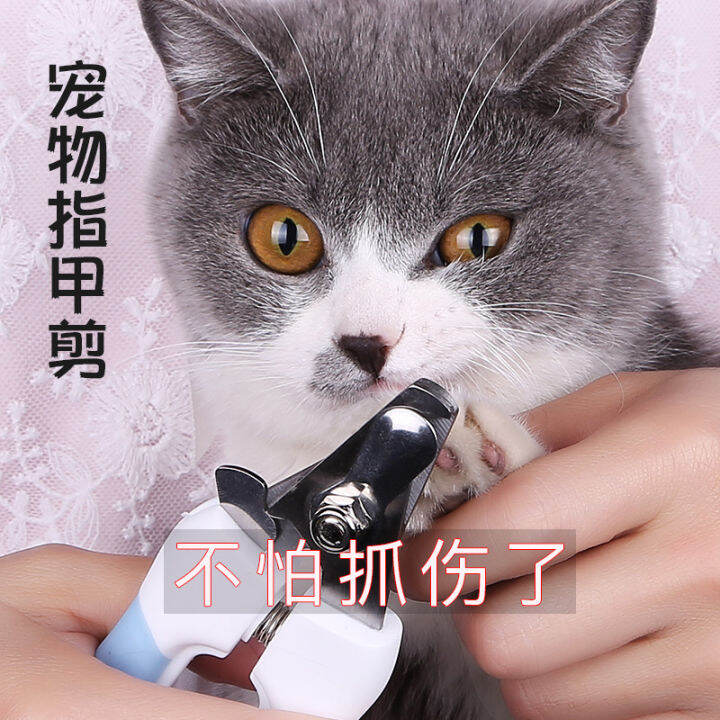Pets, cats, dogs, nails, scissors, pliers, special artifacts with ...